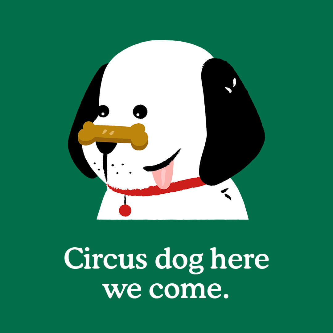 Fun Tricks to Teach Your Puppy | Zigzag