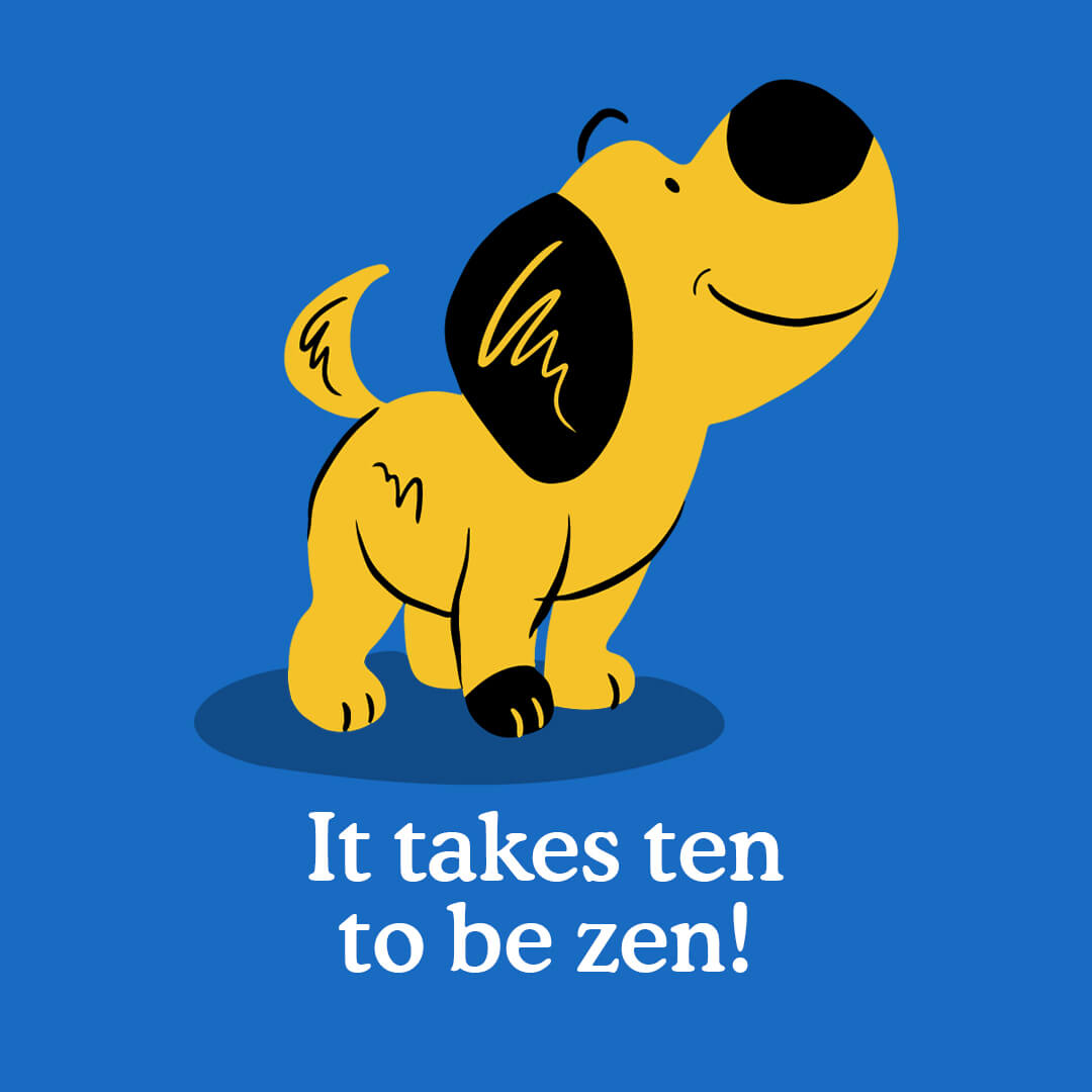 10 Week Puppy Training Schedule What To Expect Zigzag 10 Week Puppy Training Schedule What To Expect Zigzag