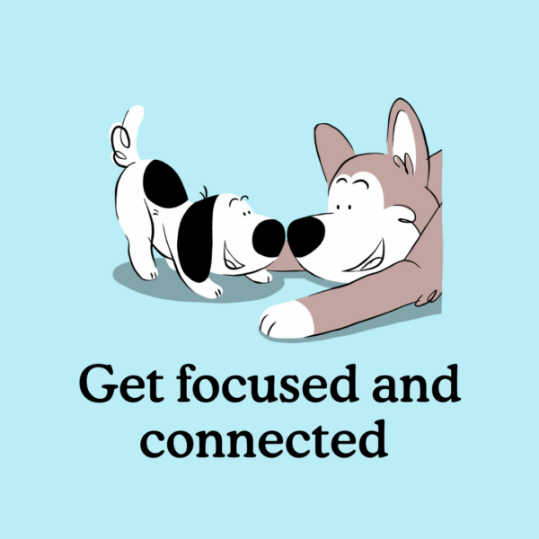 Bell Training a Puppy: How to Do it & Top Tips | Zigzag
