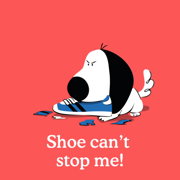 How to Stop Your Puppy from Biting Your Feet | Zigzag