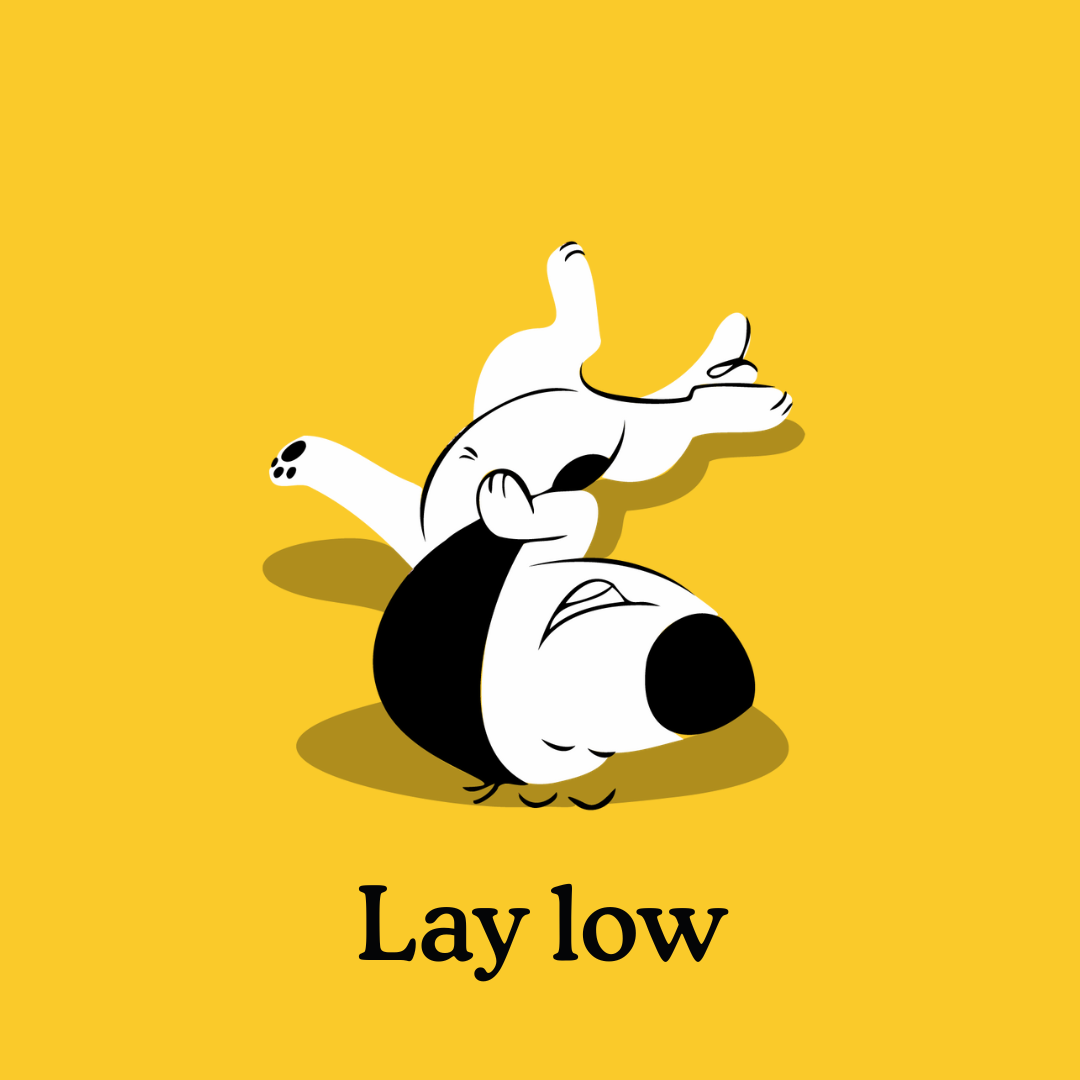How To Teach A Puppy To Lie Down Zigzag