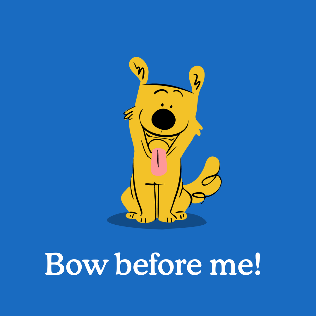 How To Teach A Dog To Bow In 8 Easy Steps Zigzag How To Teach A Dog To Bow In 8 Easy Steps Zigzag