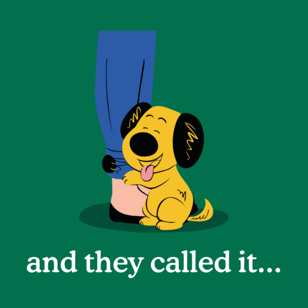 Puppy development stages: A guide